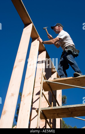 Carpenter nailing on wood framing at a construction site Stock Photo ...