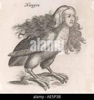 Folklore - Harpy Stock Photo - Alamy