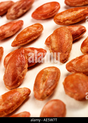roasted watermelon seed , Food Snack on white background Stock Photo ...