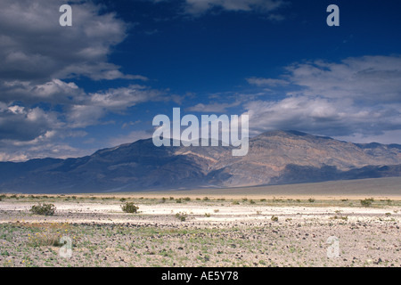 Scattered rocks on sandy basin in spring under blue skies and clouds ...