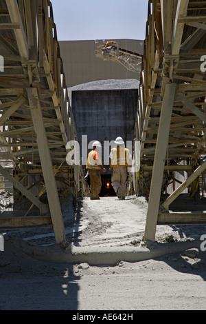 Workers wear personal protective equipment as they check ballots at a ...