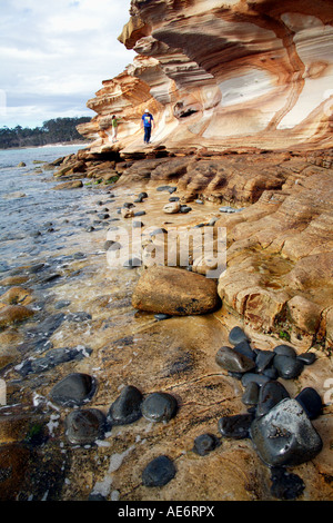 painted cliffs in Maria Island Nationalpark Tasmania Australia Stock ...