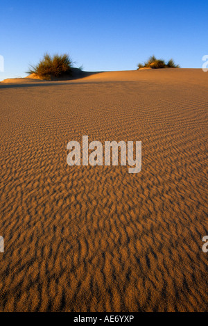 Imperial Sand Dunes National Recreation Area in southern California ...