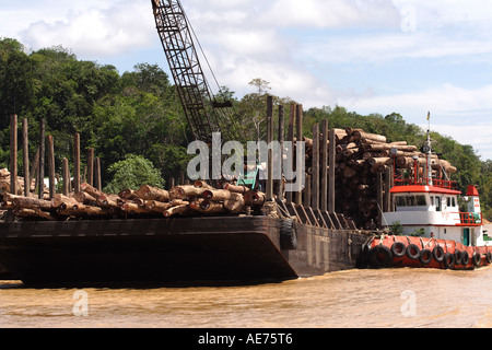 Tugboat Pulling a Log Barge, Part of a Major Logging Operation on the ...