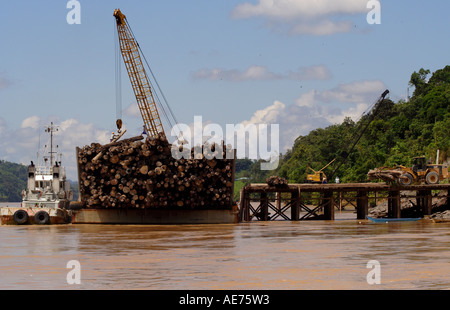 Log Barge, Part of a Major Logging Operation on the Batang Rajang River ...