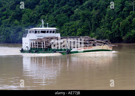 Log Barge, Part of a Major Logging Operation on the Batang Rajang River ...