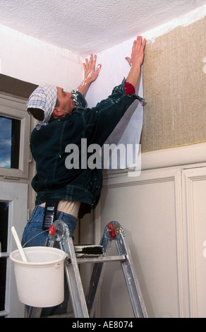 Man pasting wallpaper Stock Photo - Alamy