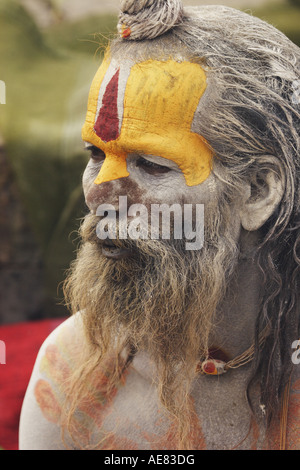 Naga baba a holy man at the Mahashivaratri festival Pashupatinath Nepal ...