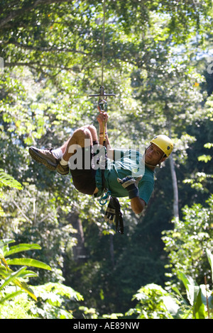 canopy tree top tour Stock Photo - Alamy