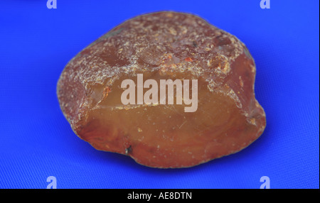 Piece of Amber found on a beach in North-East Norfolk, UK Stock Photo ...