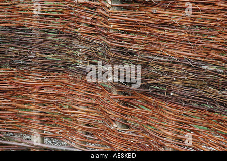 Woven willow fencing Wattle fence with interwoven salix twigs and ...