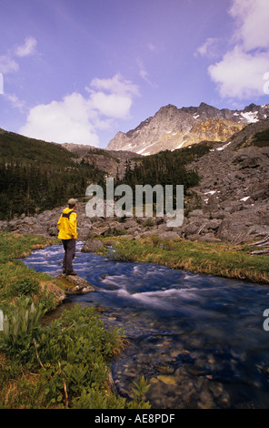 Hiker beside alpine creek Danny Moore basin Babine Mountains Provincial ...