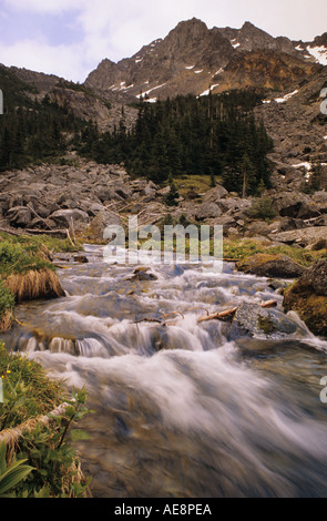 Alpine creek scene Danny Moore Basin Babine Mountains Provincial Park ...