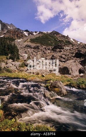 Alpine scene Danny Moore Basin Babine Mountains Provincal Park Smithers ...