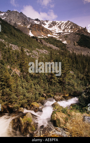 Alpine creek Danny Moore Basin Babine Mountains Provincial park ...