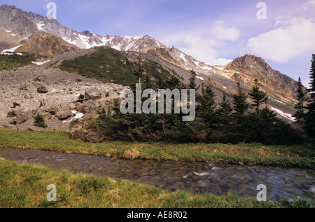 Alpine creek Danny Moore Basin Babine Mountains Provincial Park ...
