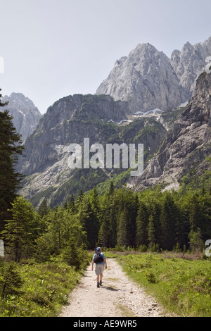 TRIGLAV NATIONAL PARK SLOVENIA June The Pocar Farmhouse in the Radovna ...