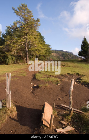 Hiking trail on Slivnica Mountain, Slovenia Stock Photo - Alamy