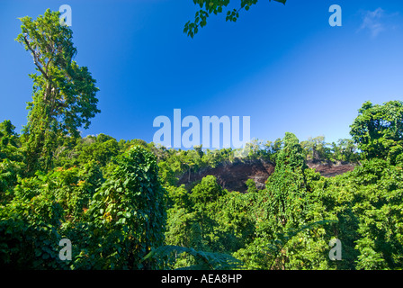 MOUNT TAFUA rainforesst preserve SAMOA SAVAII volcano volcanic jungle ...