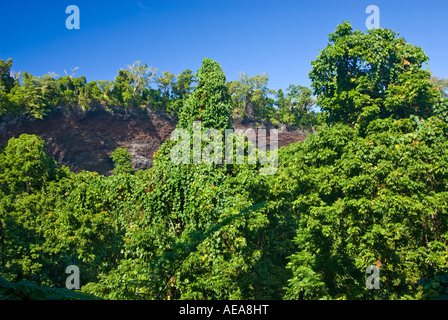 MOUNT TAFUA rainforesst preserve SAMOA SAVAII volcano volcanic jungle ...