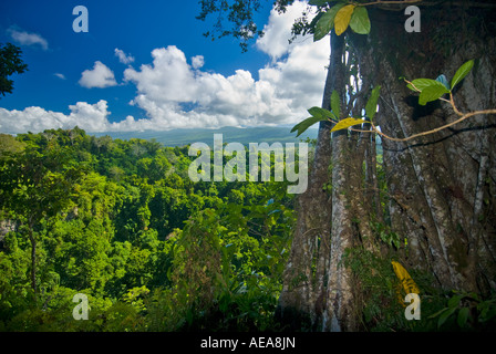 MOUNT TAFUA rainforesst preserve SAMOA SAVAII volcano volcanic jungle ...