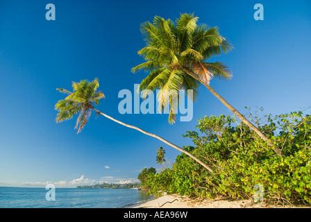 SAVAI Western Samoa beach strand MANASE south coast Stock Photo - Alamy
