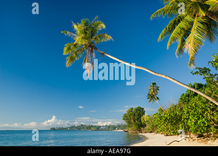 SAVAI Western Samoa beach strand MANASE south coast Stock Photo - Alamy