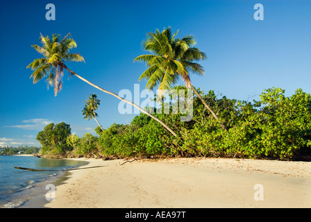 SAVAI Western Samoa beach strand MANASE south coast Stock Photo ...