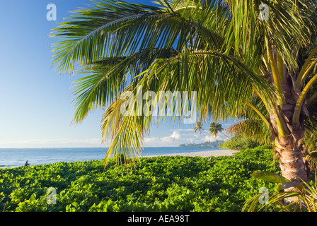 SAVAI Western Samoa beach strand MANASE south coast Stock Photo ...