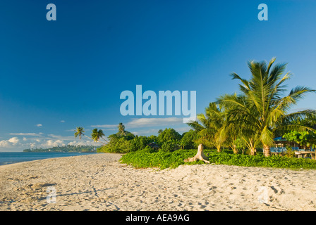 SAVAI Western Samoa beach strand MANASE south coast Stock Photo ...