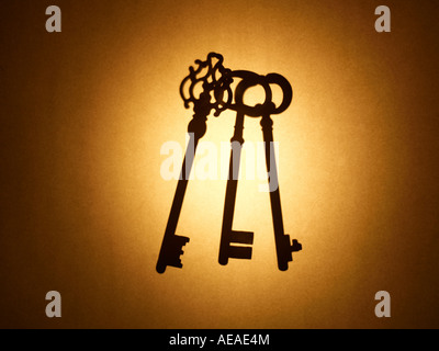 Assortment of skeleton keys cut out on white background Stock Photo - Alamy