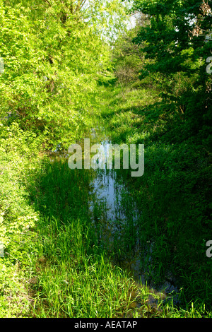 Nottinghams River Leen tributary of the Trent. Runs alongside the ...