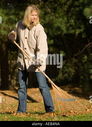 Woman raking Leaves Stock Photo - Alamy