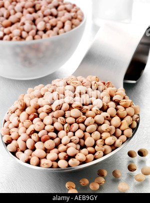 Pigeon pea, Congo pea, Gungo pea, Gunga pea, no-eye pea (Cajanus cajan ...