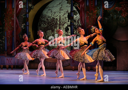 Entertainment dance. The Dutch National Ballet is giving it's first ...