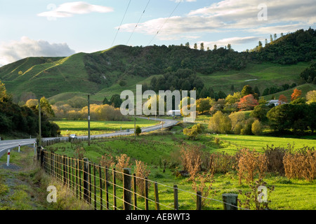 Farmland and Road near Te Kuiti King Country North Island New Zealand ...