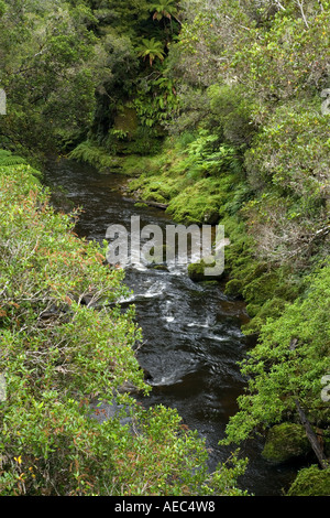 Tangarakau River gorge, Forgotten World Highway, New Zealand. Steep ...