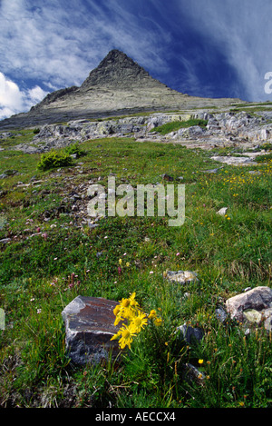 Wham ridge, Vestal Peak, Grenadier Range, Weminuche Wilderness, San ...