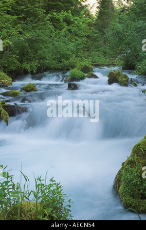 Rapids on Roaring River Oregon Summer 2005 Stock Photo - Alamy