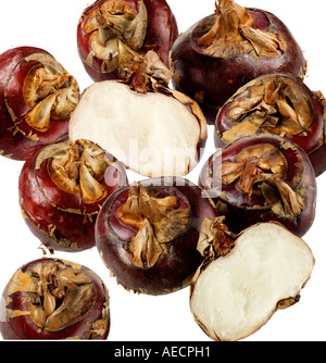 Whole water chestnuts on white background Stock Photo - Alamy