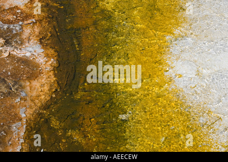Colored Runoff from the Sapphire Pool Stock Photo - Alamy