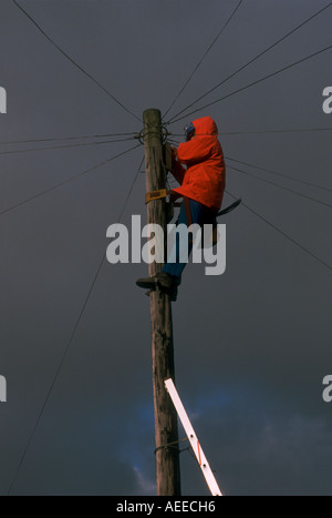 Work on the wires of a telephone exchange in Berlin, 1927 Stock Photo ...