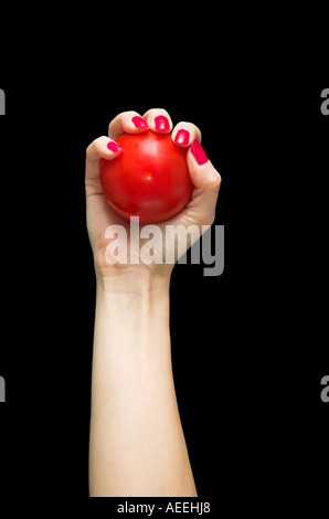 A person is holding a red tomato in their hands. The garden has green ...
