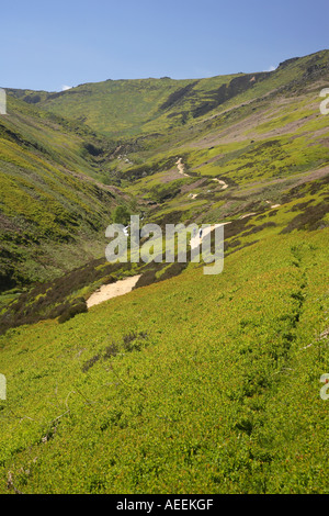 the pennine way grindsbrook edale peak district national park ...