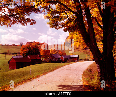 Vermont farm scene with groves of flaming red and yellow maple trees in ...