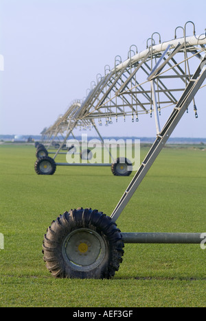 automated circular rotating center pivot irrigation system sod farming ...