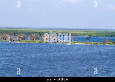 Lake Okeechobee South end Okeechobee Waterway Florida Stock Photo - Alamy