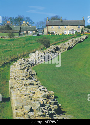 hadrians wall at heddon on the wall northumberland england UK Stock ...
