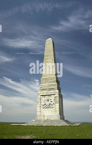 Earl of Yarborough Monument Culver Down Isle of Wight Stock Photo - Alamy