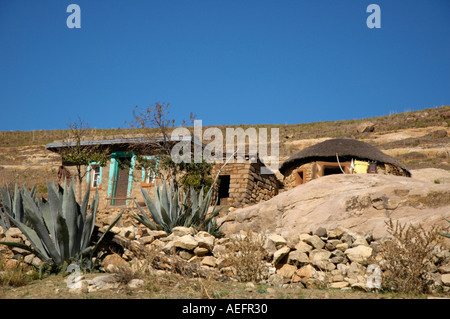 rondavel african house with thatched roof and a solitaire tree Stock ...